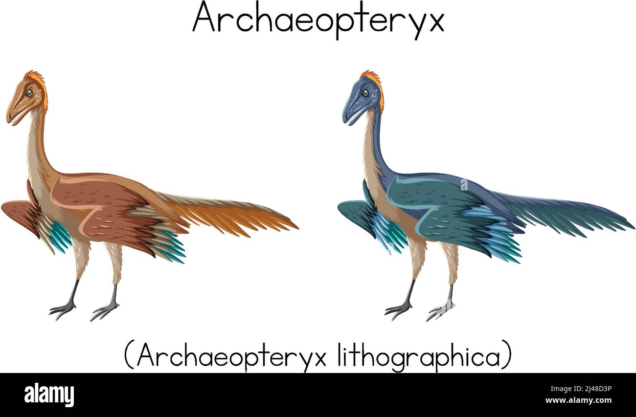 Jurassic archaeopteryx Stock Vector Images - Alamy
