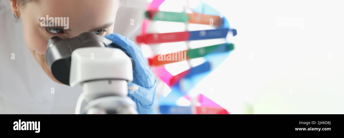 Woman scientist looking through microscope near dna molecule mockup in ...