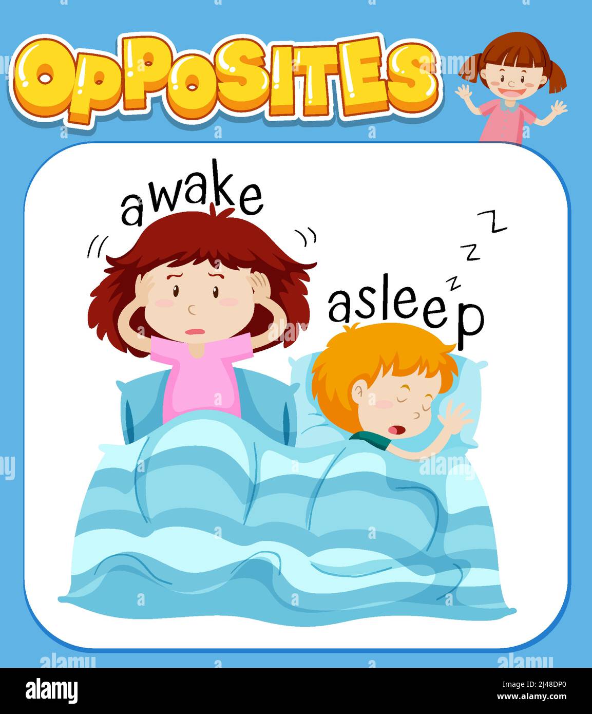 Opposite words for awake and asleep illustration Stock Vector Image ...