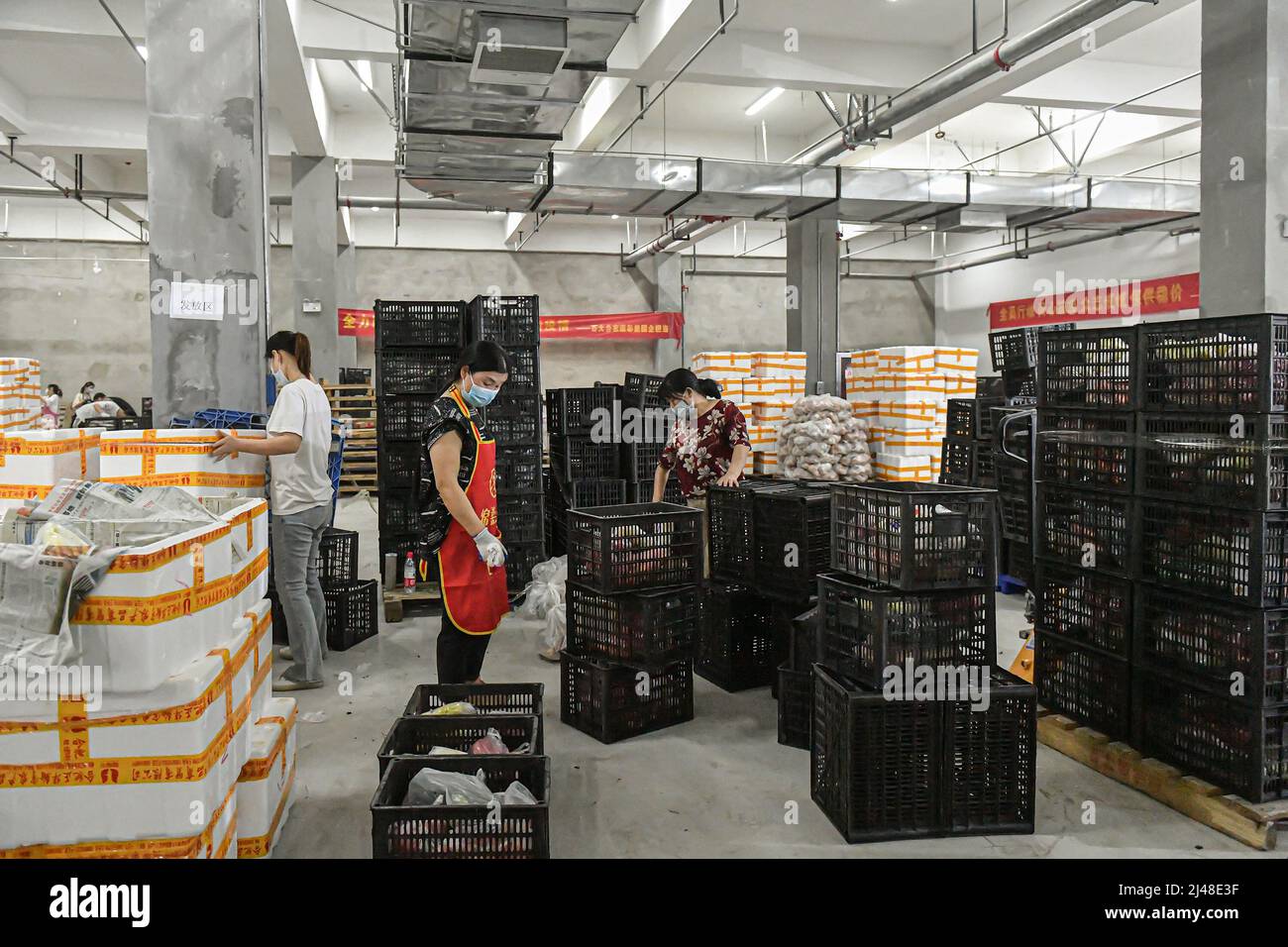 HEFEI, CHINA - APRIL 12, 2022 - People work overnight to sort and pack ...
