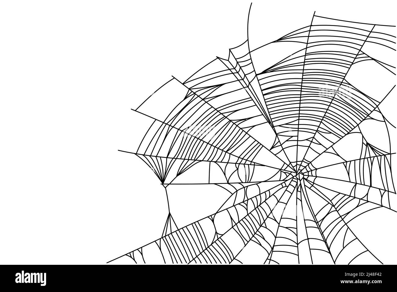 Spider web parts isolated on white background. Scary cobweb outline ...