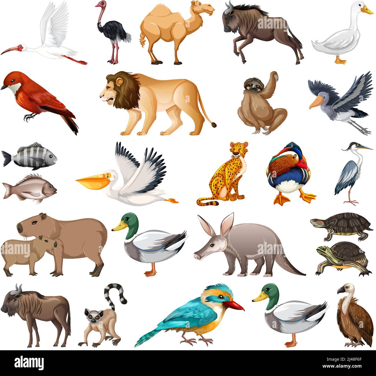 King heron Stock Vector Images - Alamy