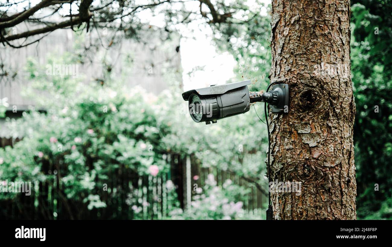 Gray surveillance camera hanging on a tree in the garden Stock Photo ...