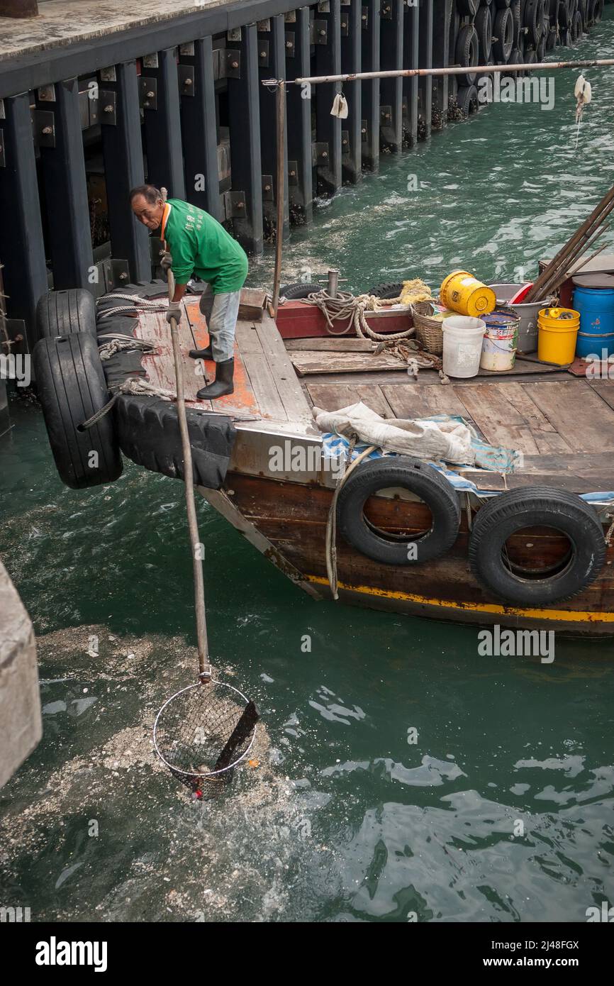 A small traditional junk is used to remove floating garbage from ...