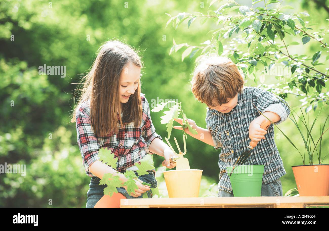 Happy children farmers having fun on spring field. Two Little farmers ...
