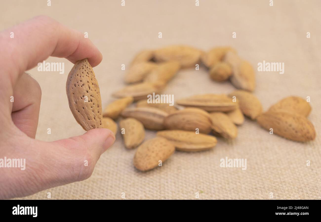 Close up shot of Almonds in the hand of a man - Almonds benefits ...