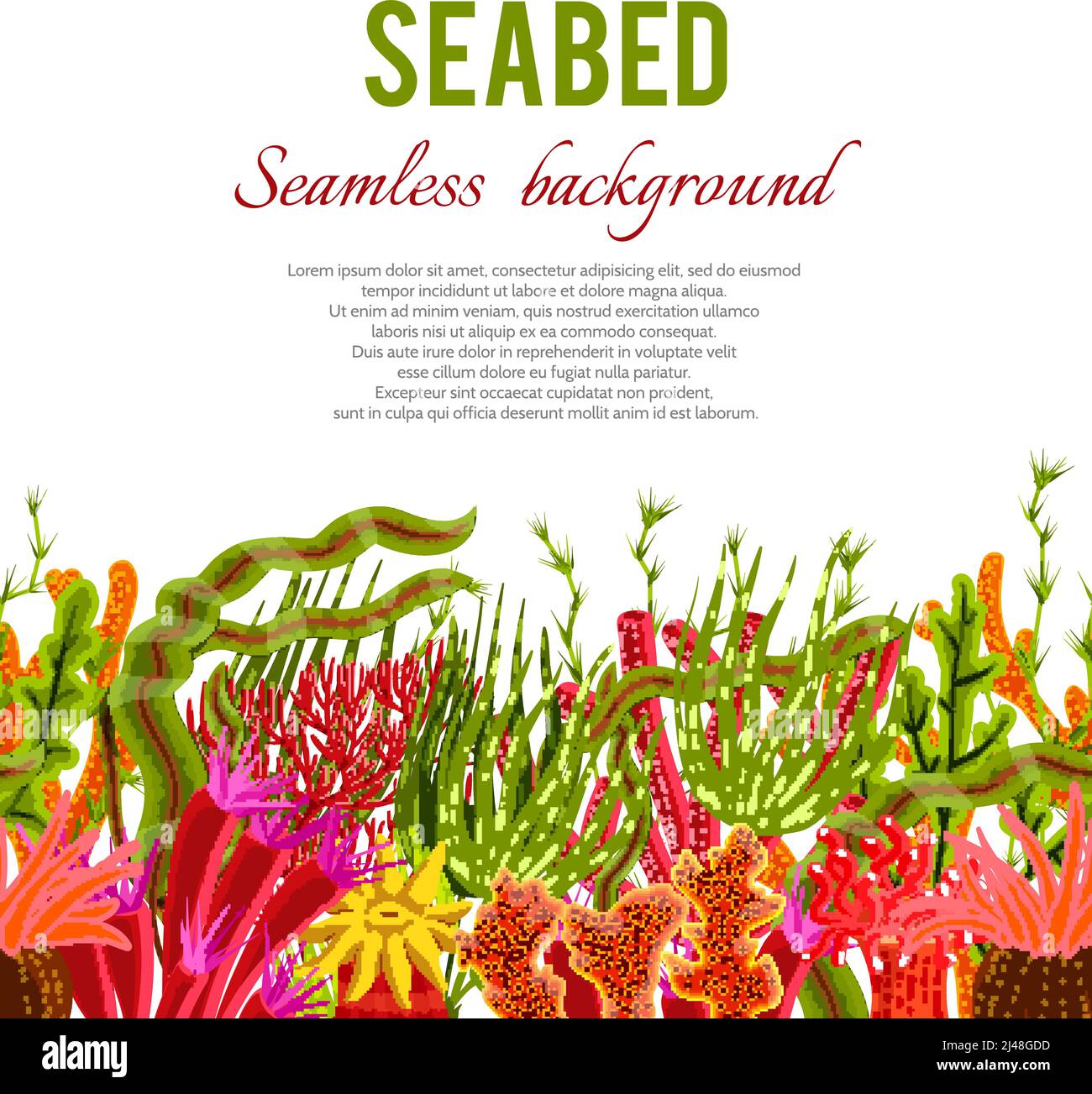 Seabed background with corals and seaweed seamless border vector ...