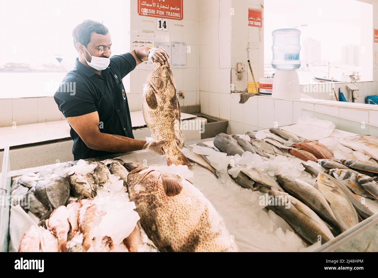 Ajman, UAE, United Arab Emirates - May 26, 2021: Men sells fresh fish ...