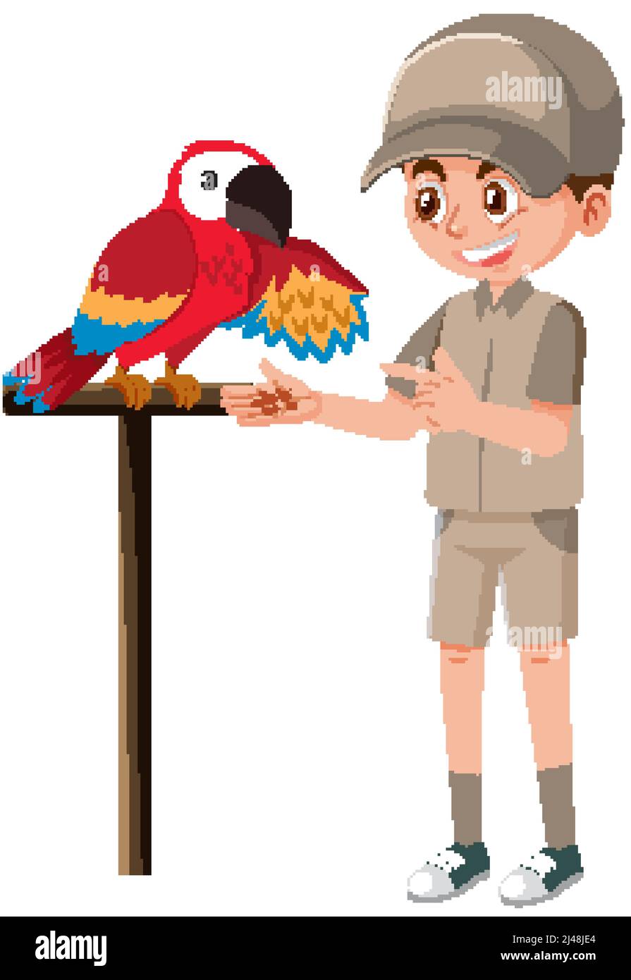 Zookeeper training parrot on the stick illustration Stock Vector Image ...