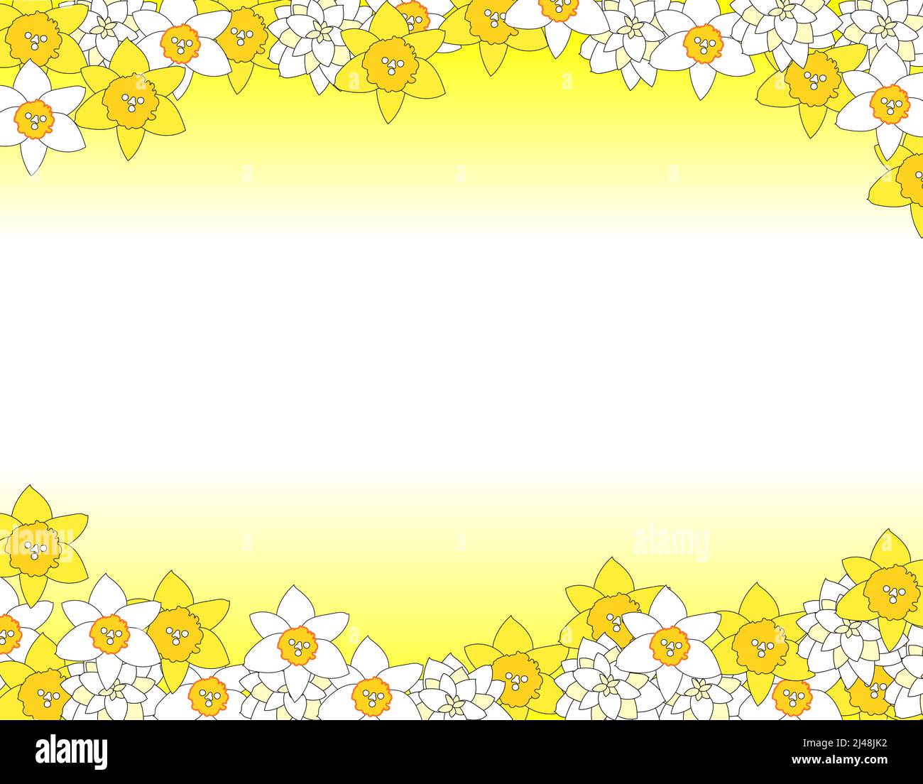 A frame of yellow daffodil flowers Stock Photo - Alamy