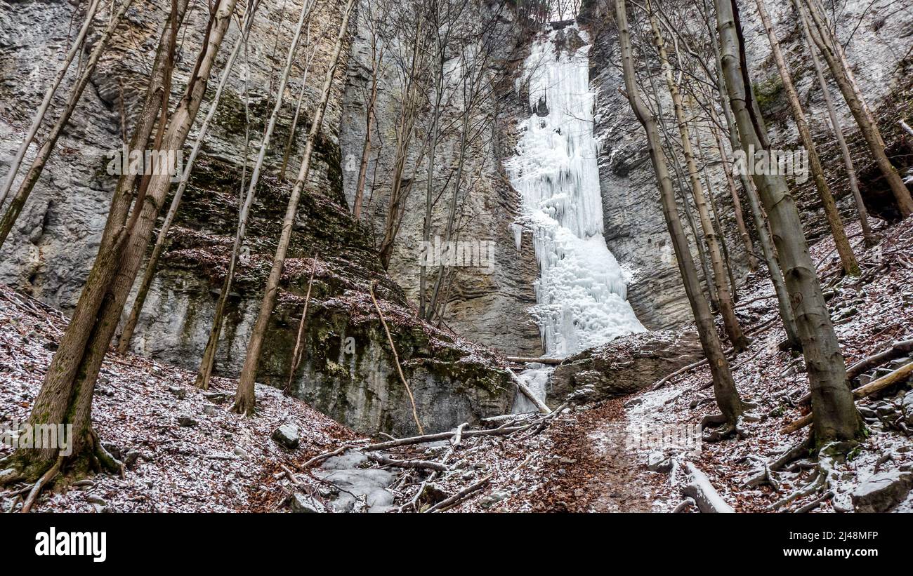 Large frozen icefall in winter forest. Brankovsky waterfall, Slovakia ...