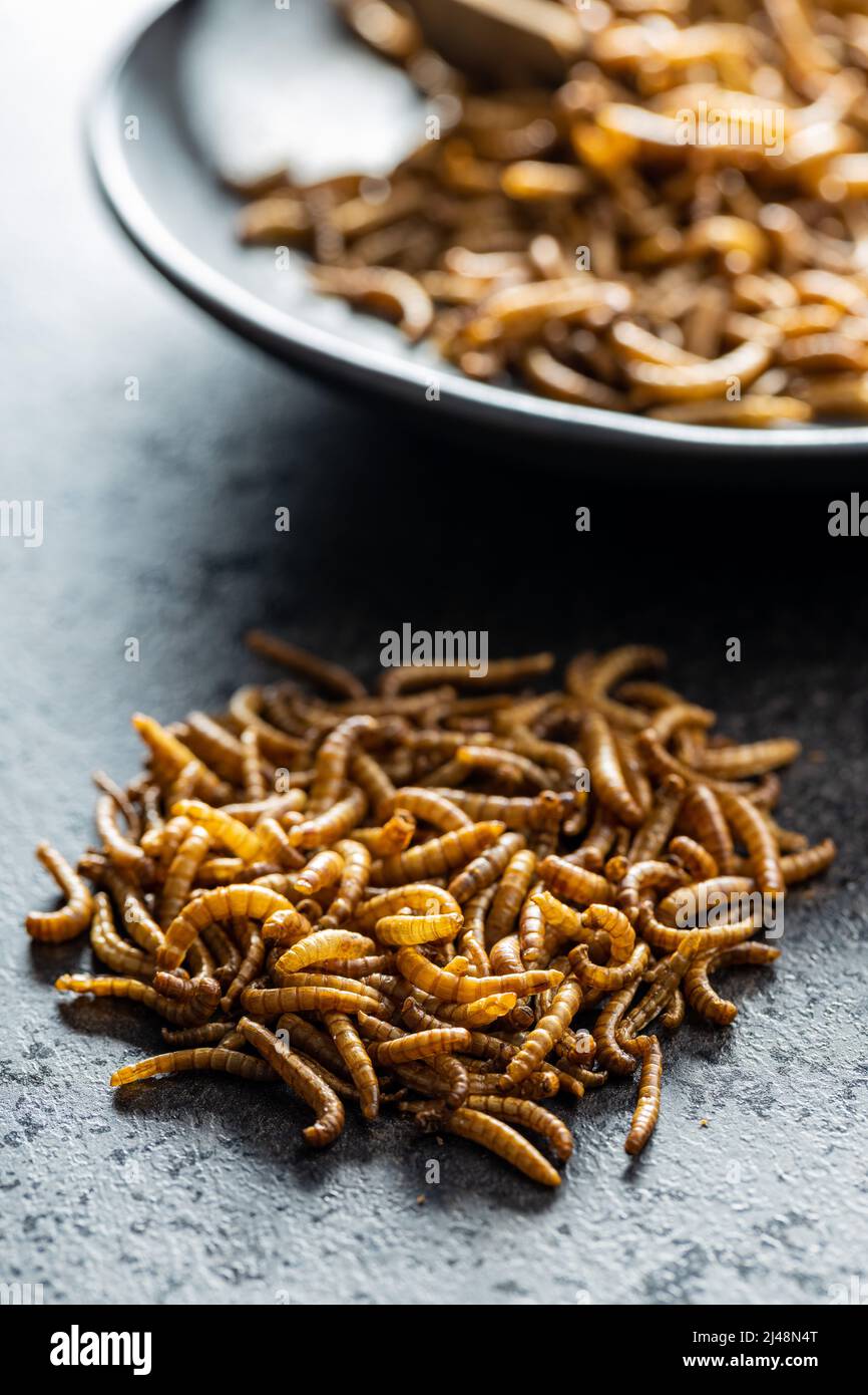 How to eat fried worms hi-res stock photography and images - Alamy