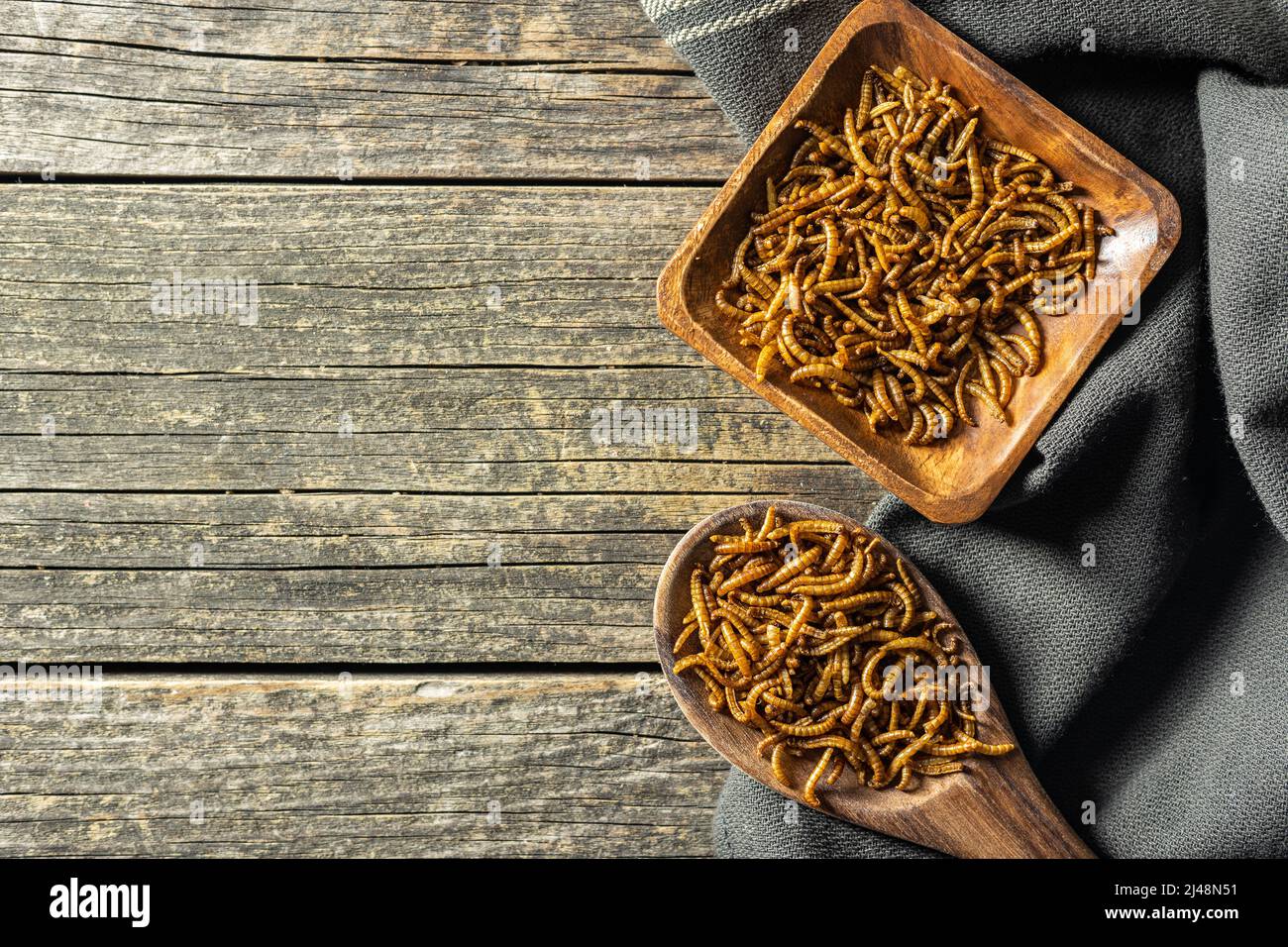 Spoon worm hi-res stock photography and images - Alamy
