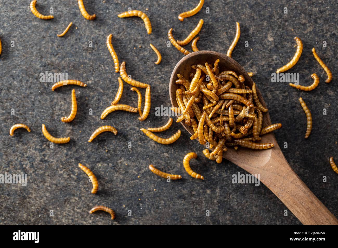 Fried salty worms. Roasted mealworms on a wooden spoon. Top view Stock ...