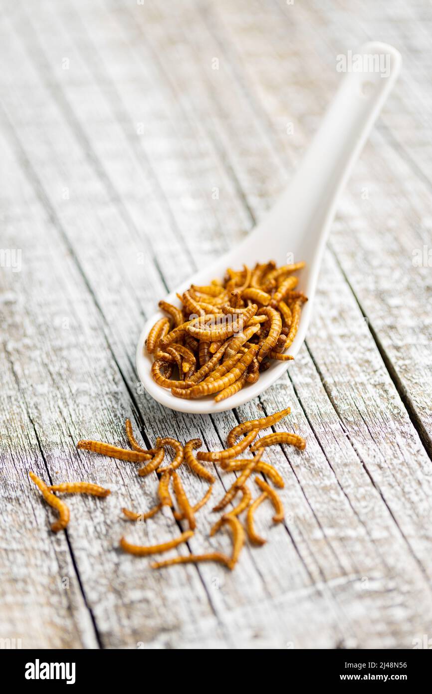 How to eat fried worms hi-res stock photography and images - Alamy