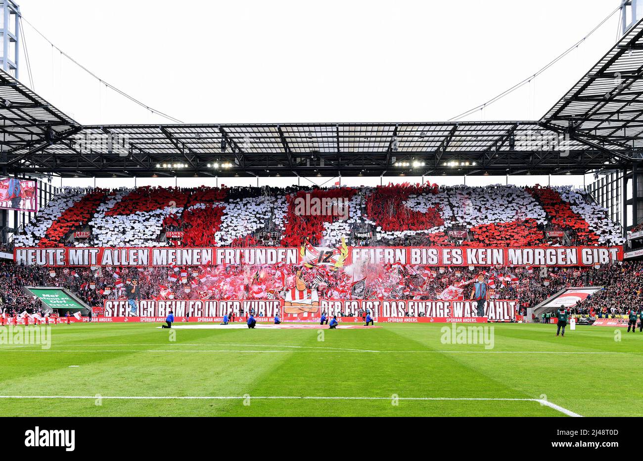 Bundesliga, Rhein Energie Stadium Cologne: 1. FC Köln vs FSV Mainz 05 ...