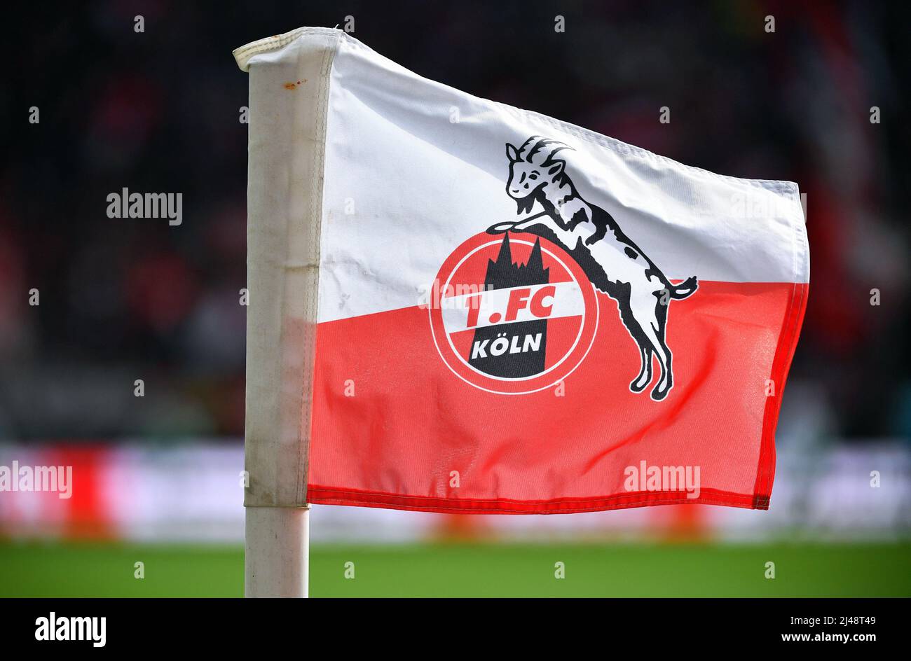 Bundesliga, Rhein Energie Stadium Cologne: 1. FC Köln vs FSV Mainz 05 ...