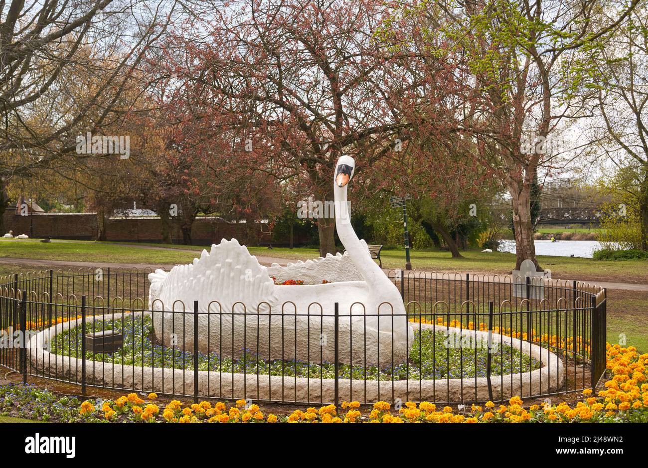 Large ornamental swan in Stapenhill Gardens, Burton on Trent, UK Stock ...