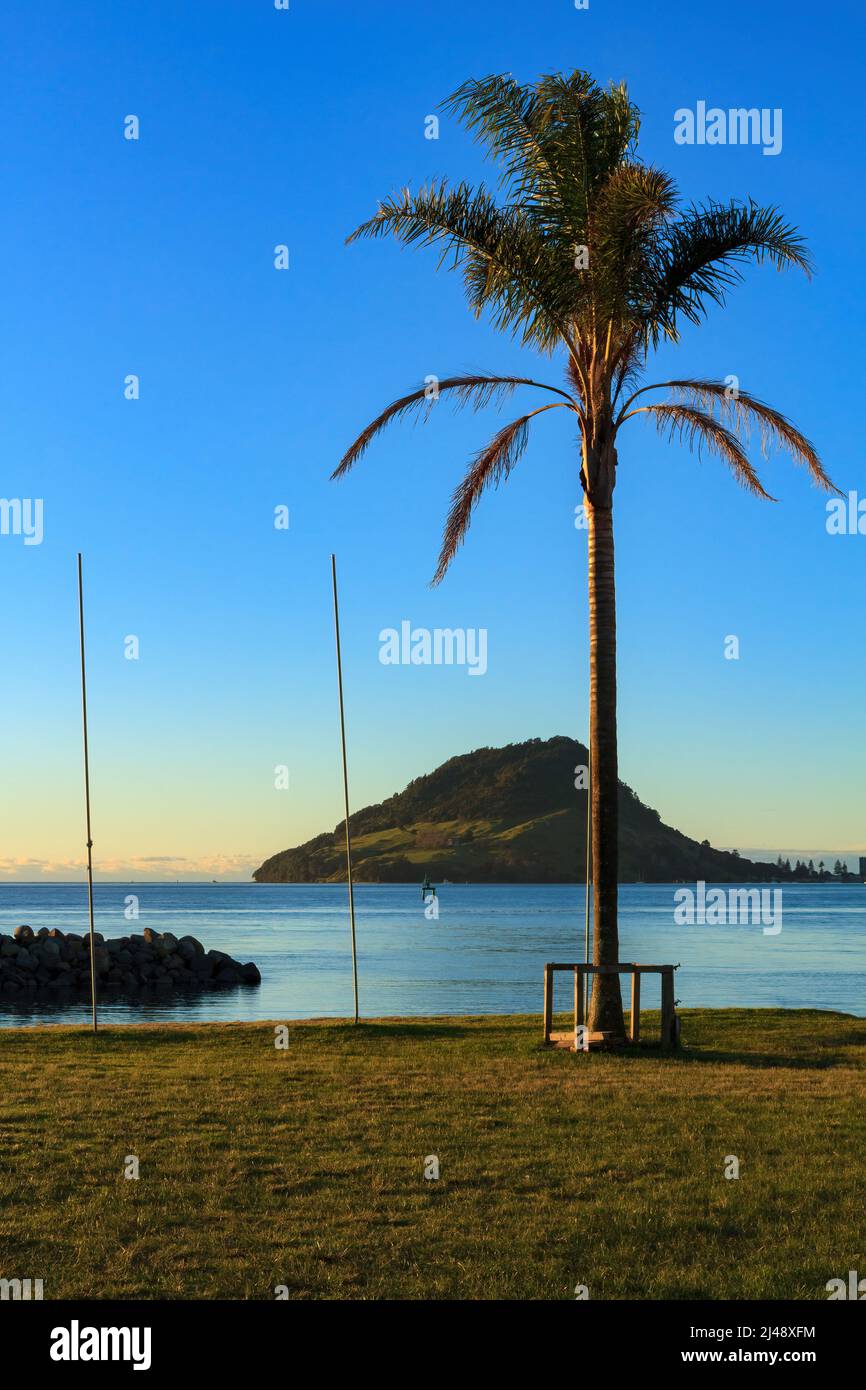 Mount Maunganui (Mauao) seen from across the harbour at Sulphur Point ...