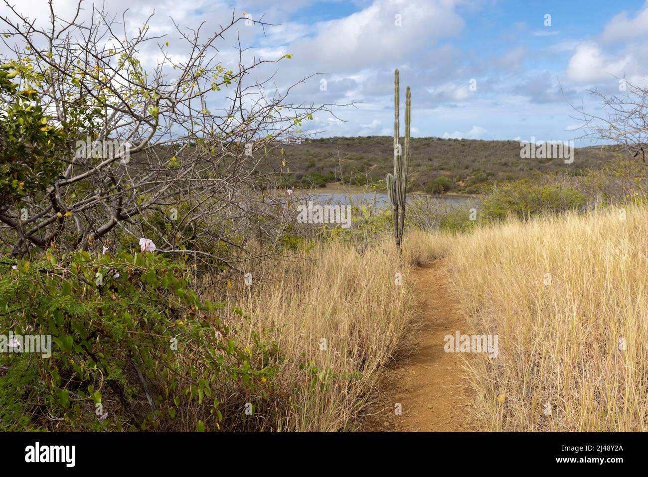 Walking a small, dusty path with view to the Jan Thiel lagoon on the ...