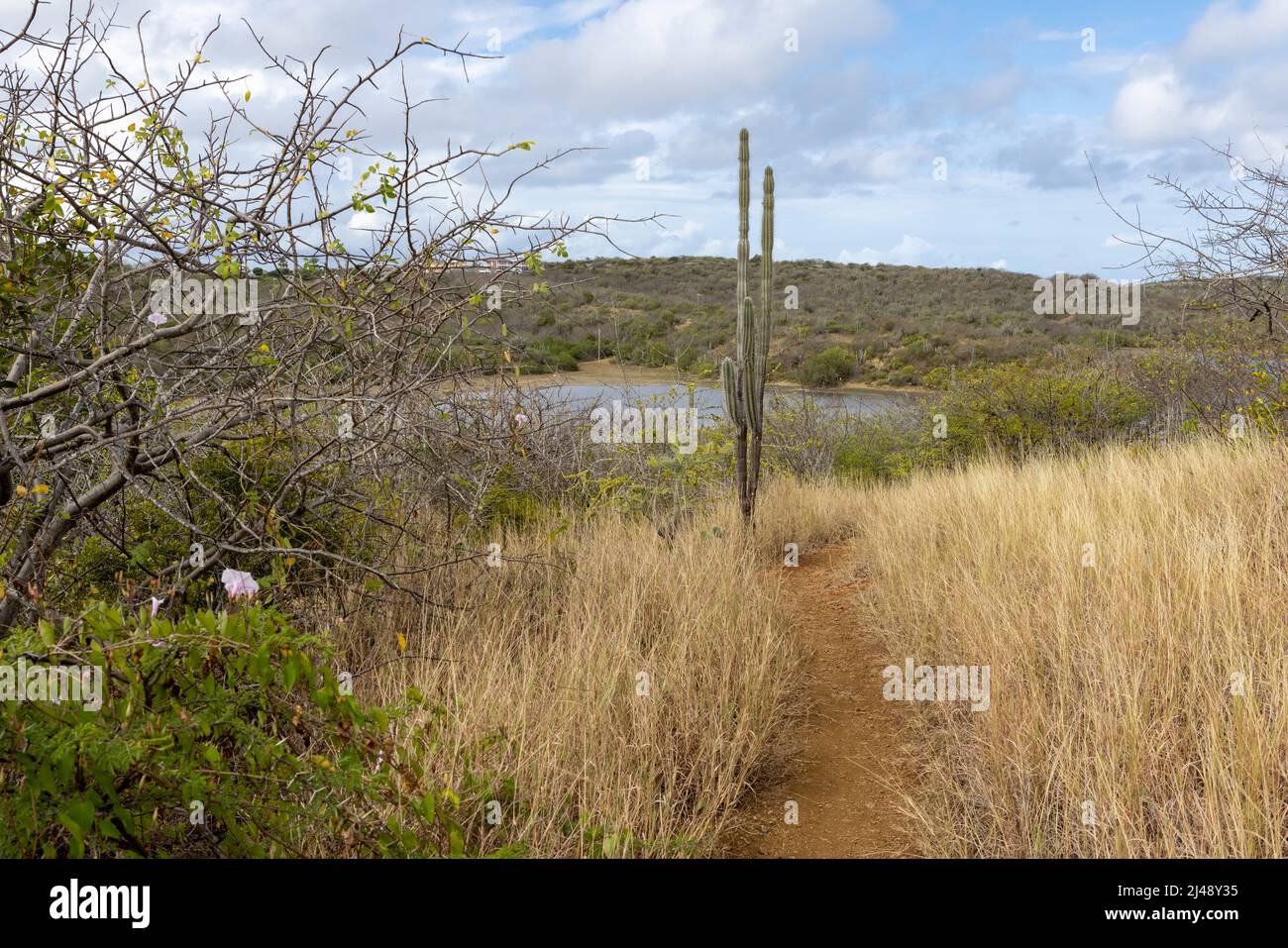 Walking a small, dusty path with view to the Jan Thiel lagoon on the ...
