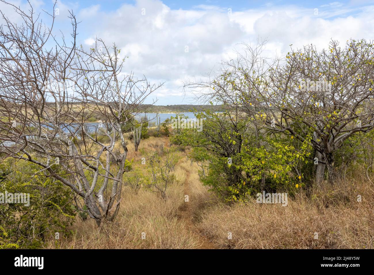 Walking a small, dusty path with view to the Jan Thiel lagoon on the ...