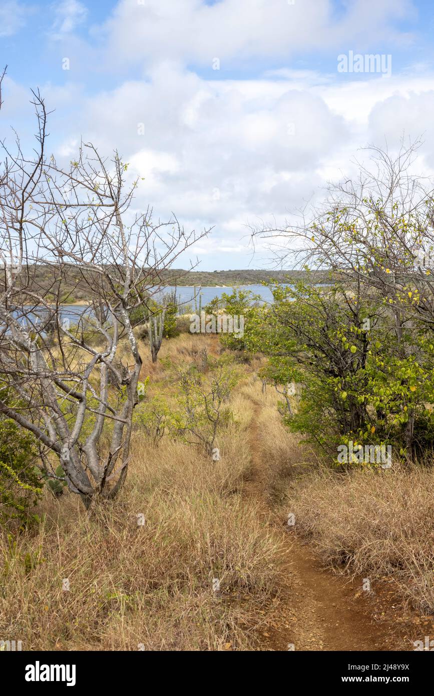 Walking a small, dusty path with view to the Jan Thiel lagoon on the ...