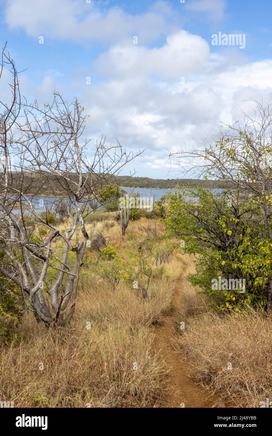 Walking a small, dusty path with view to the Jan Thiel lagoon on the ...