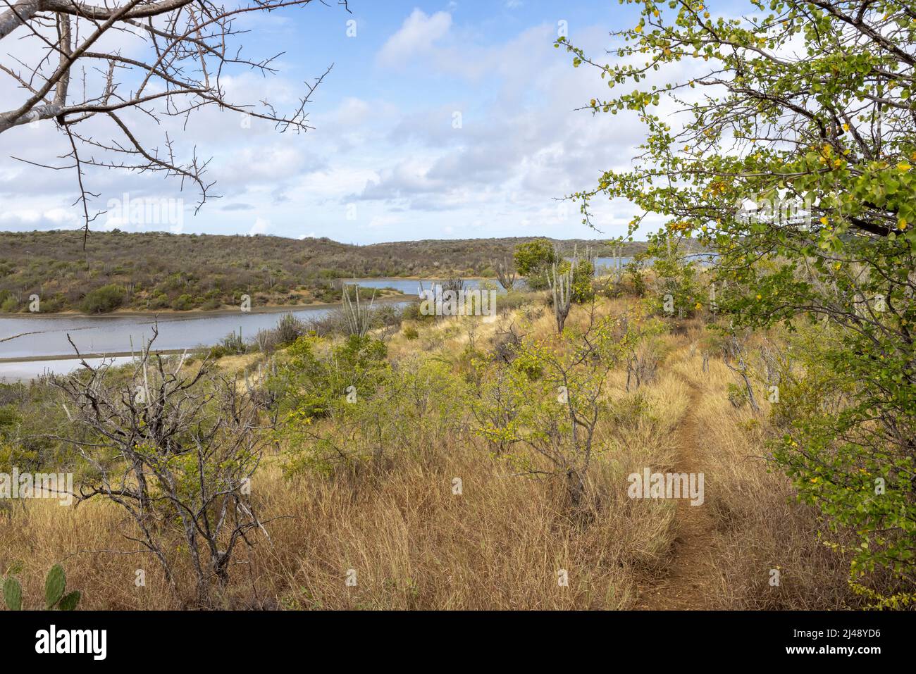 Walking a small, dusty path with view to the Jan Thiel lagoon on the ...