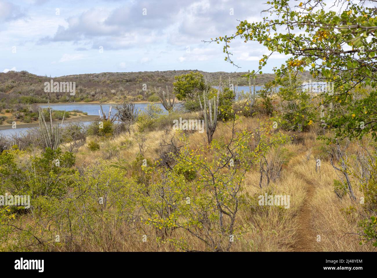 Walking a small, dusty path with view to the Jan Thiel lagoon on the ...
