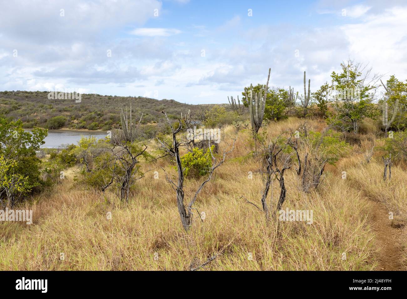 Walking a small, dusty path with view to the Jan Thiel lagoon on the ...