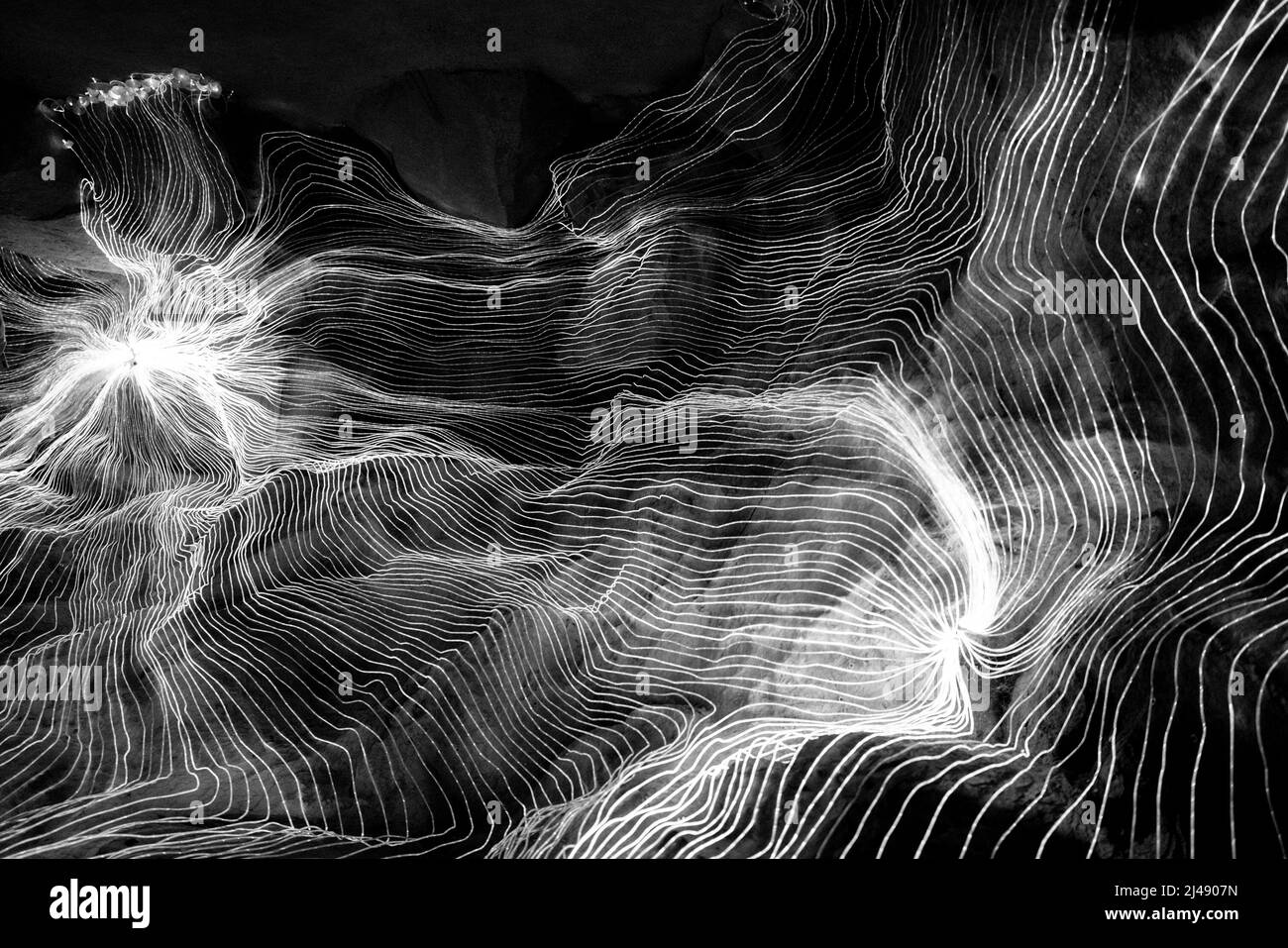 Abstract wave of digital weave lines connecting network dots and dark ...