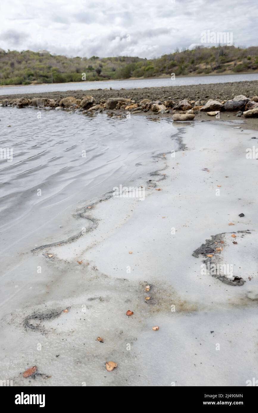 Accumulation of salt at the shores of the Jan Thiel salt flats on the ...