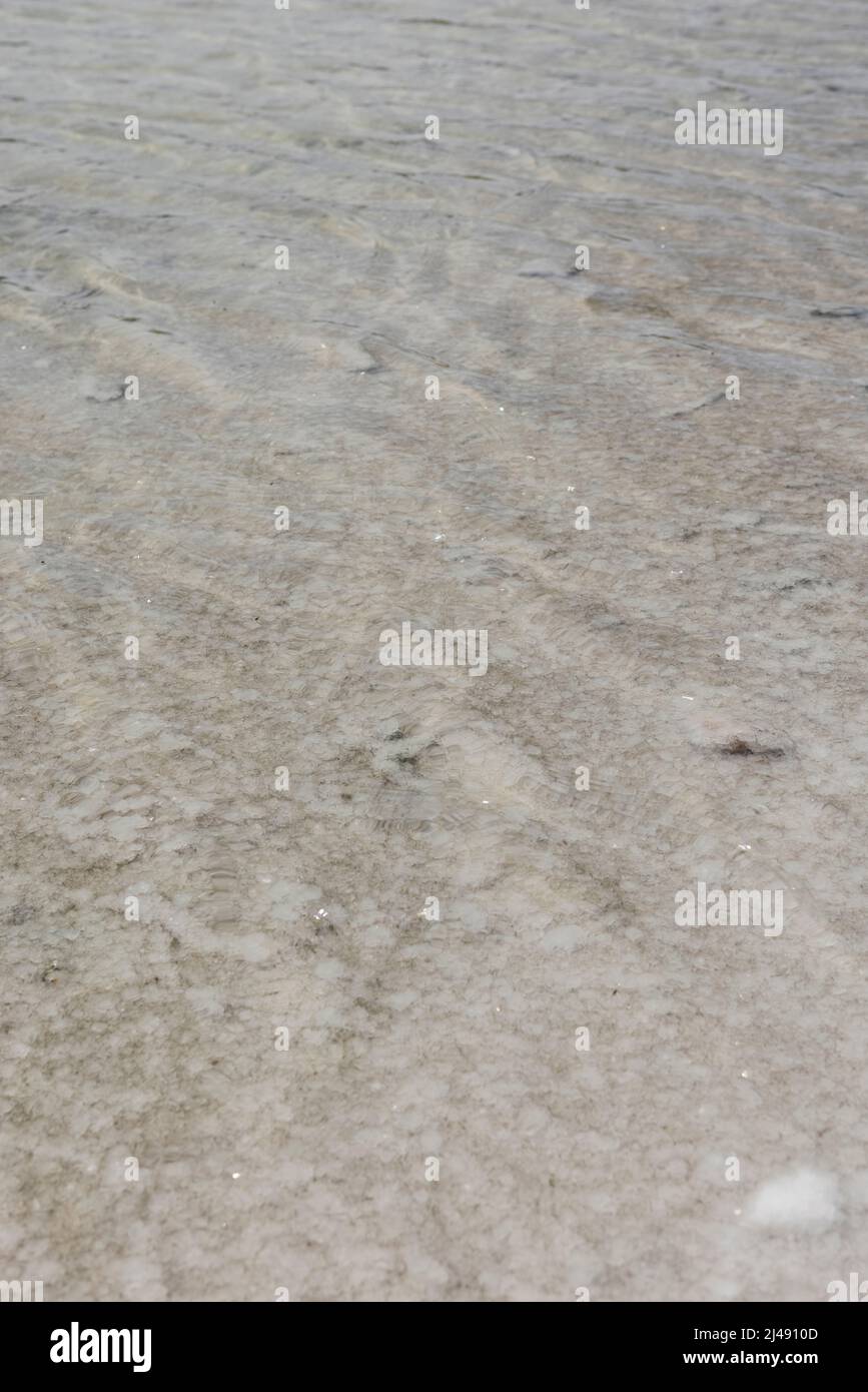 Shallow water covered with salt crystals at the Jan Thiel Salt Flats on ...