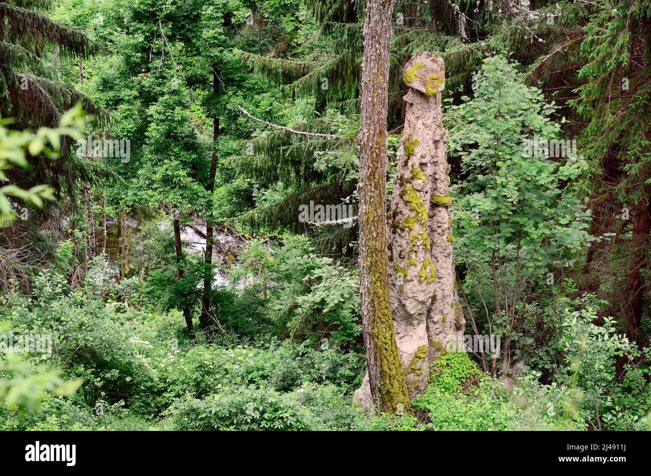 Austria, Tyrol, earth pyramids in Pitztal valley Stock Photo - Alamy