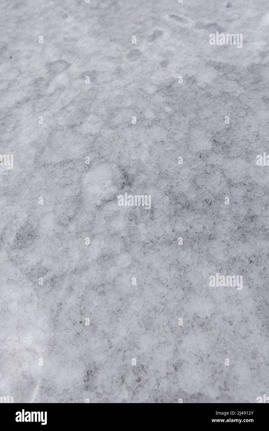 Shallow water covered with salt crystals at the Jan Thiel Salt Flats on ...