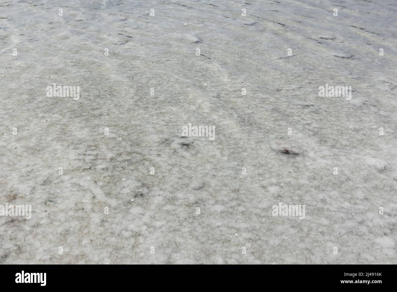 Shallow water covered with salt crystals at the Jan Thiel Salt Flats on ...