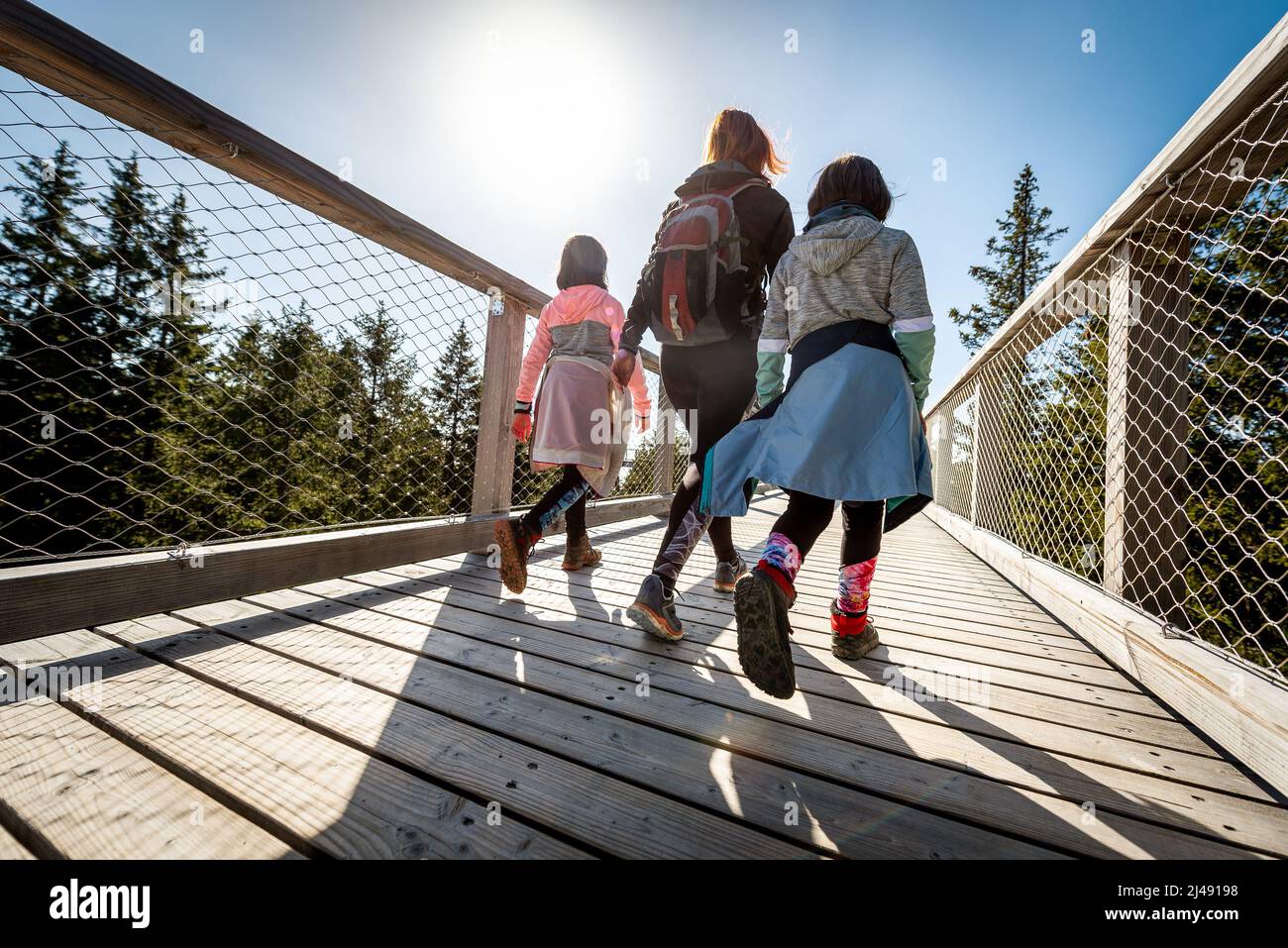 Active family walking, hiking in nature on wooden treetop walkway in ...