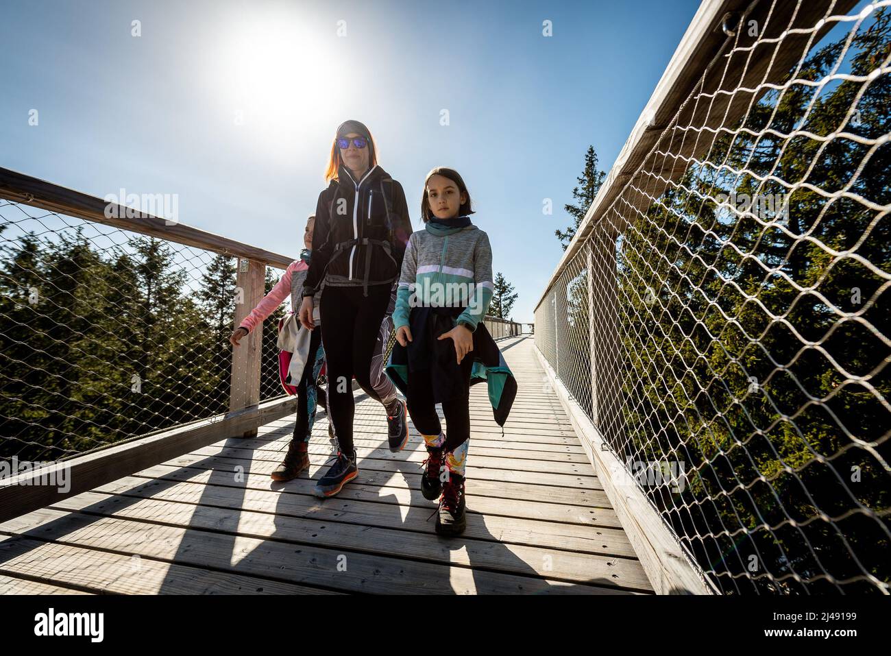 Active family walking, hiking in nature on wooden treetop walkway in ...