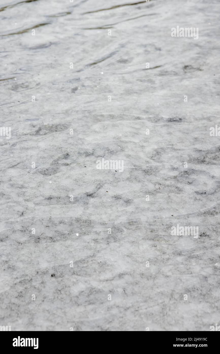 Shallow water covered with salt crystals at the Jan Thiel Salt Flats on ...