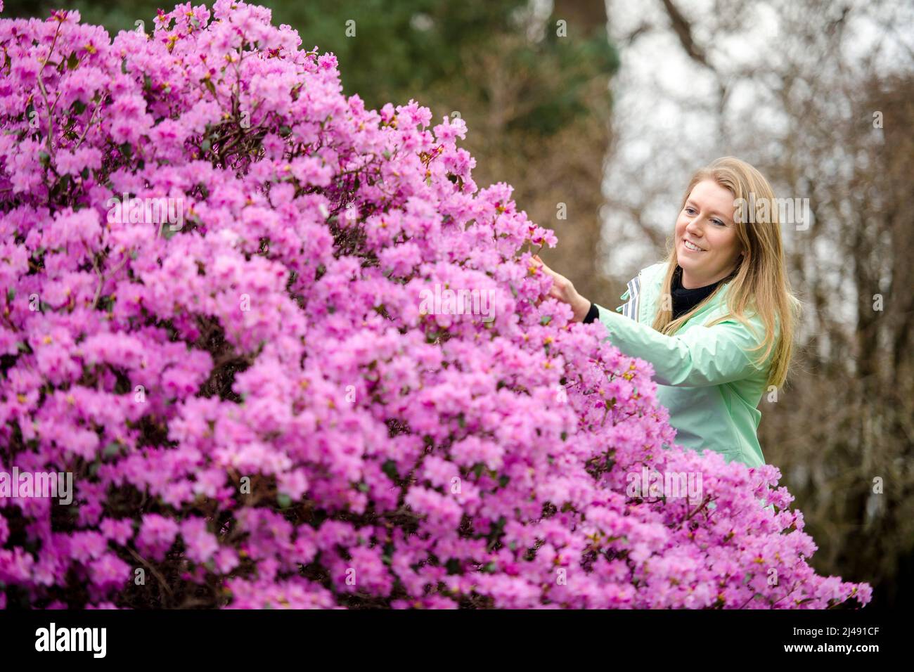 Beechgrove garden presenter Kirsty Wilson stands in the Purple lilac ...