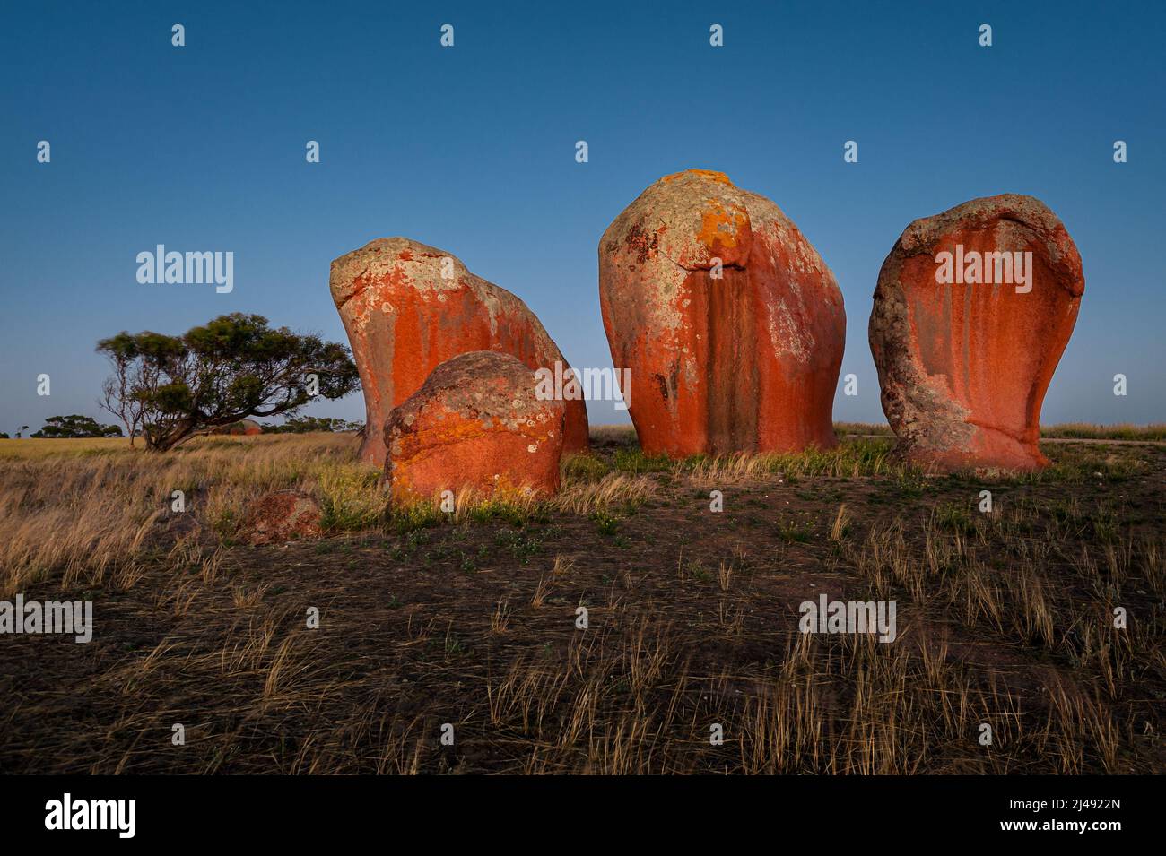 Impressive rock formations of Murphy's Haystacks on Eyre Peninsula ...
