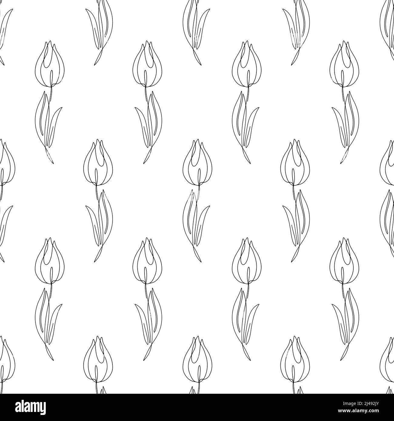 Monochrome seamless pattern with single line tulip flowers drawings ...