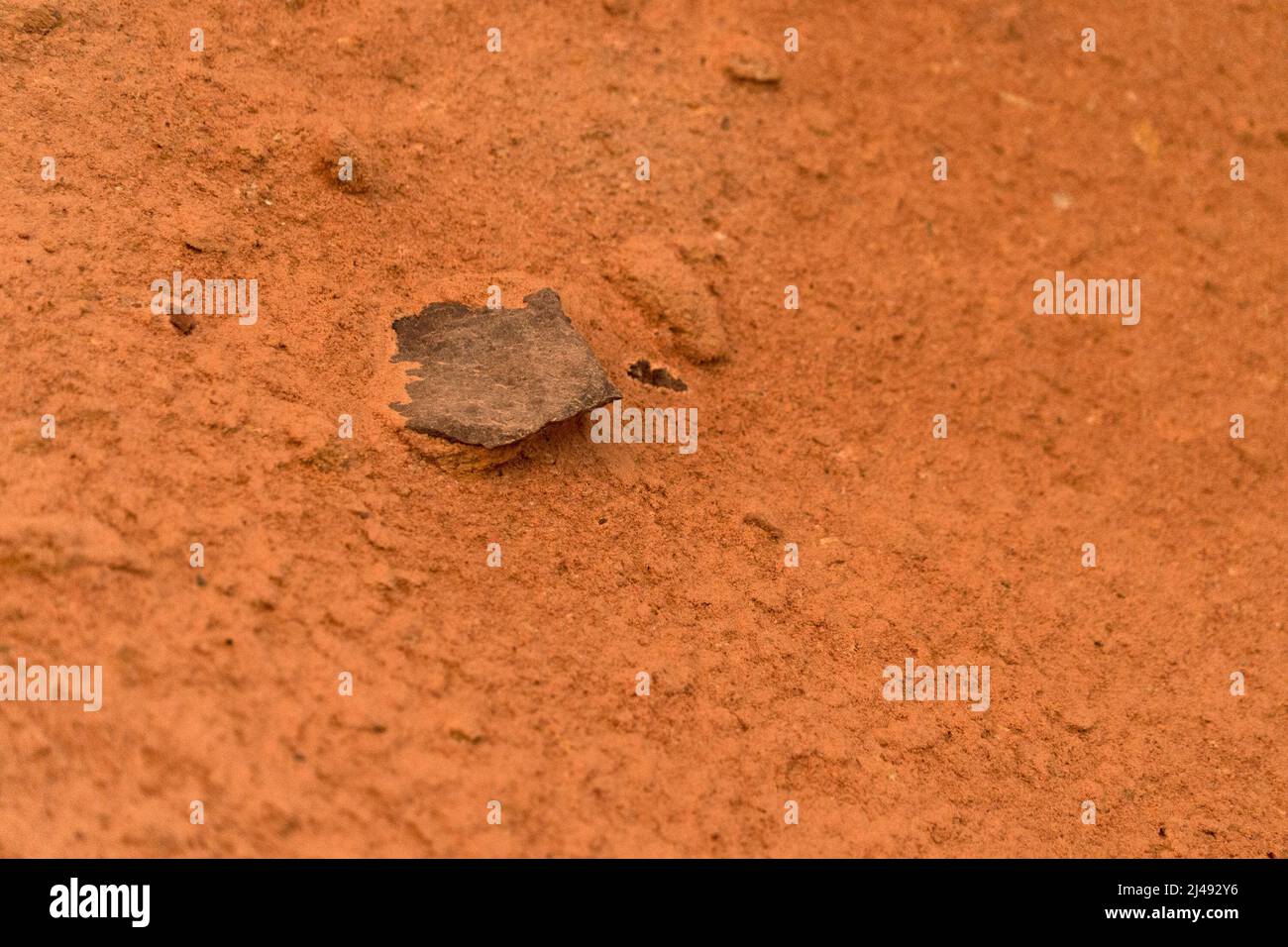 volcano rock and stone baja california sur mexico Stock Photo - Alamy