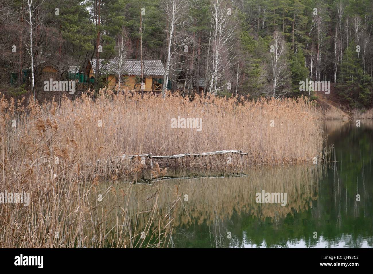 Wooden hut on forest lake shore Stock Photo - Alamy