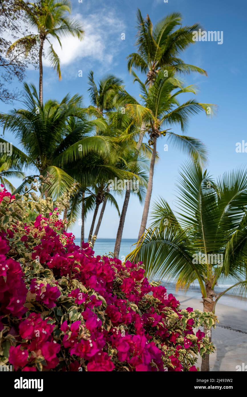 Summer evening by the sea shore, Las Perlas archipelago, Panama ...