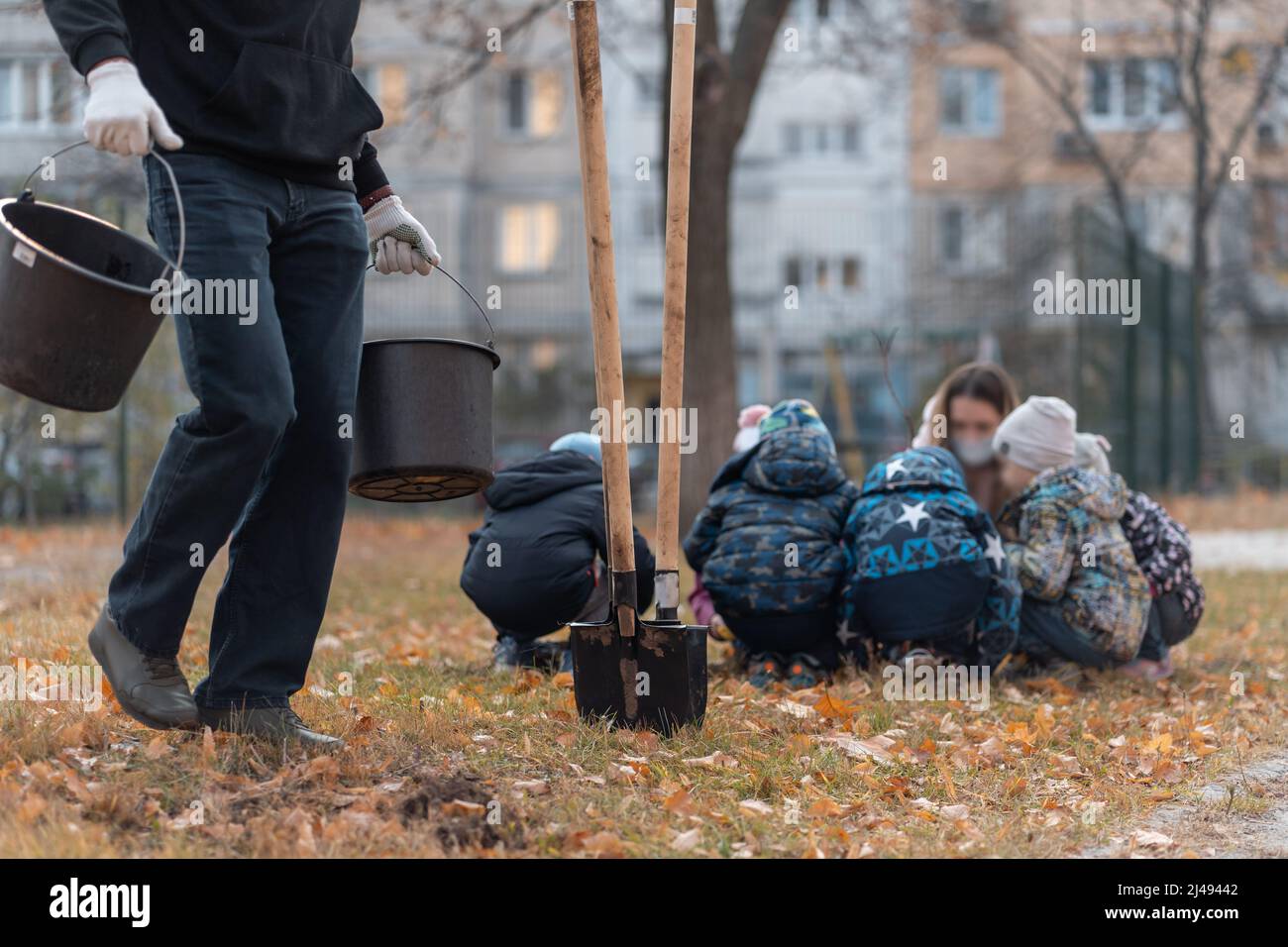 afforestation or children learn or help to planting trees outdoor Stock ...