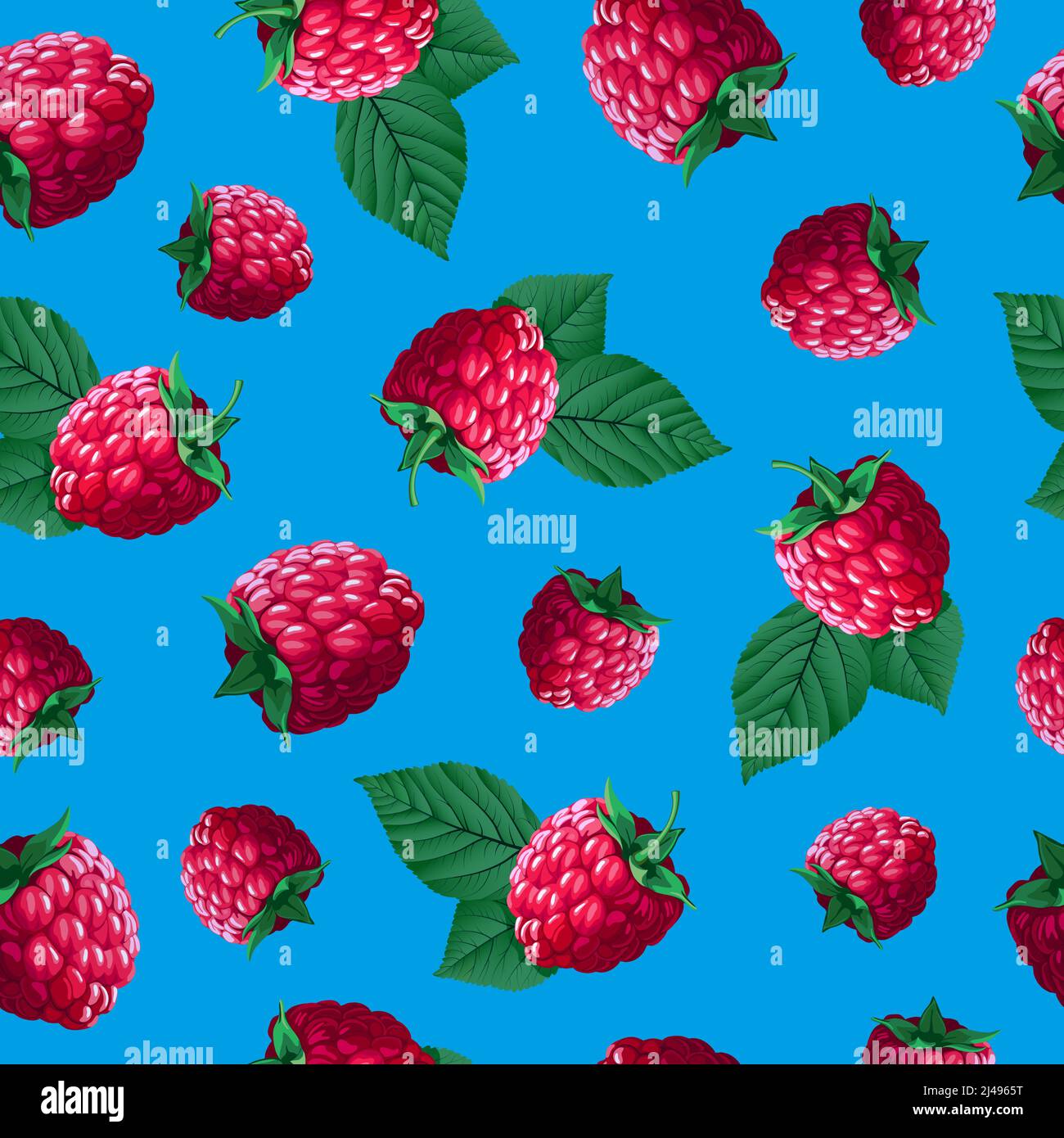 Raspberries drawing hi-res stock photography and images - Alamy