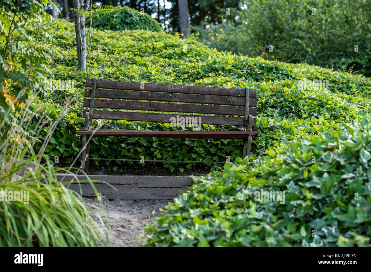 An overlooking view of nature in Portland, Oregon Stock Photo - Alamy