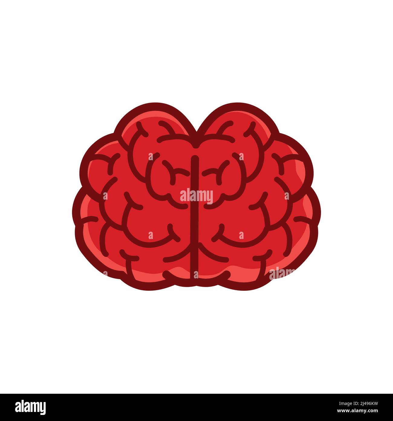 Human brain frontview illustration isolated on white background Stock ...